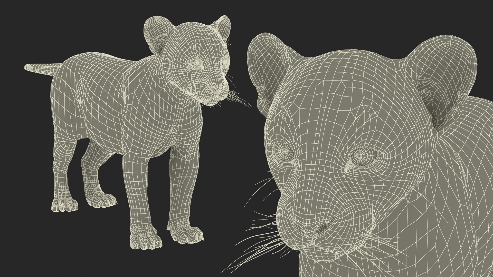 3D Black Leopard Cub Rigged For Maya - TurboSquid 2381623