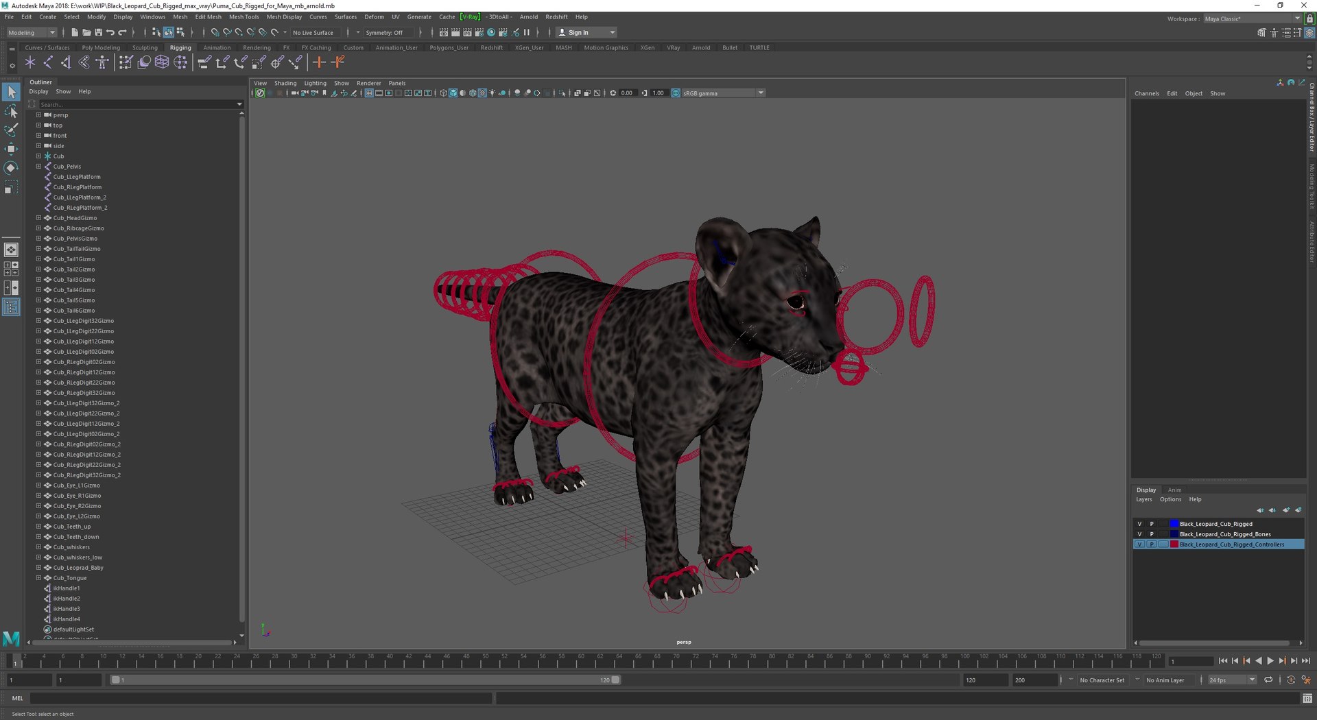 3D Black Leopard Cub Rigged For Maya - TurboSquid 2381623