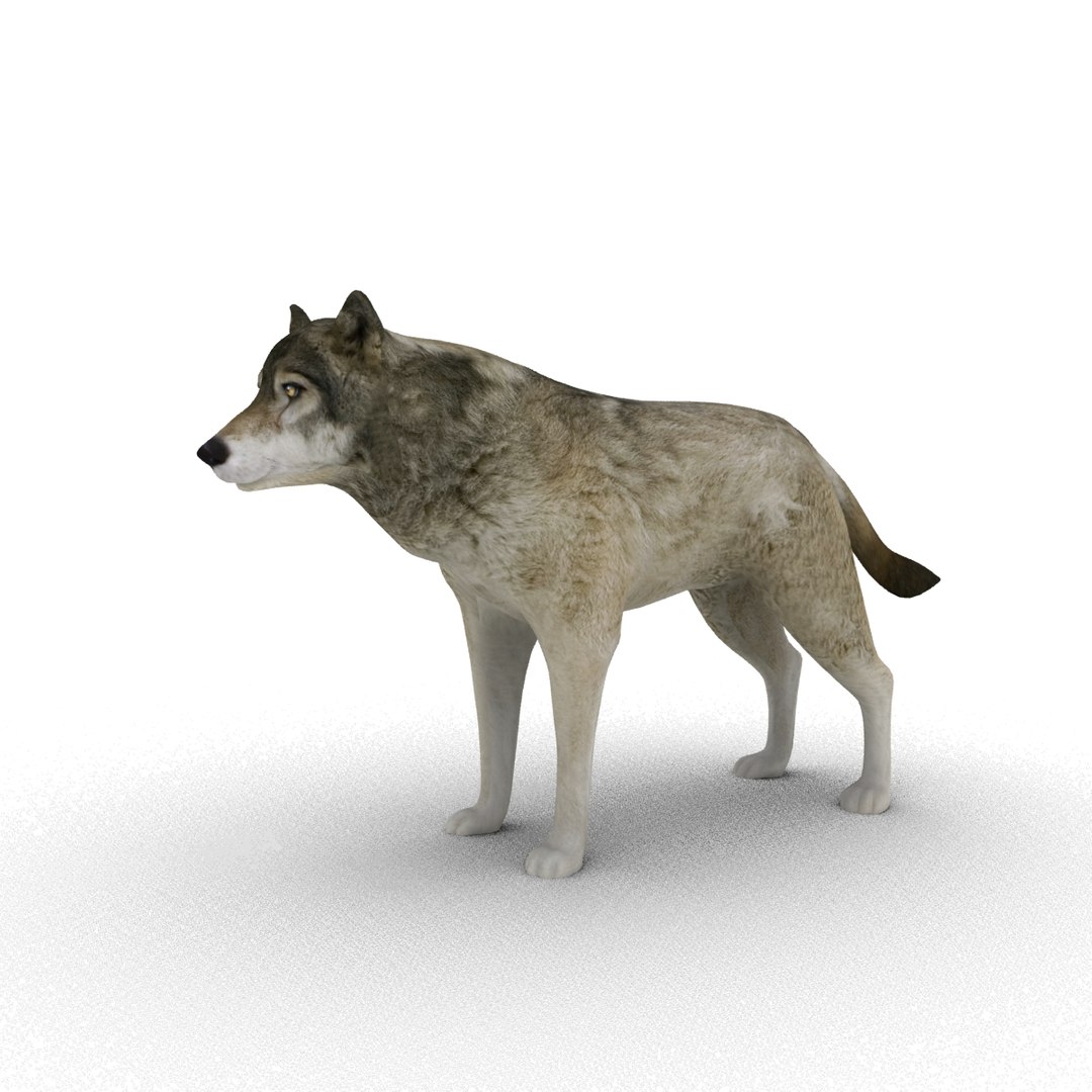 3ds wolf rigged animation