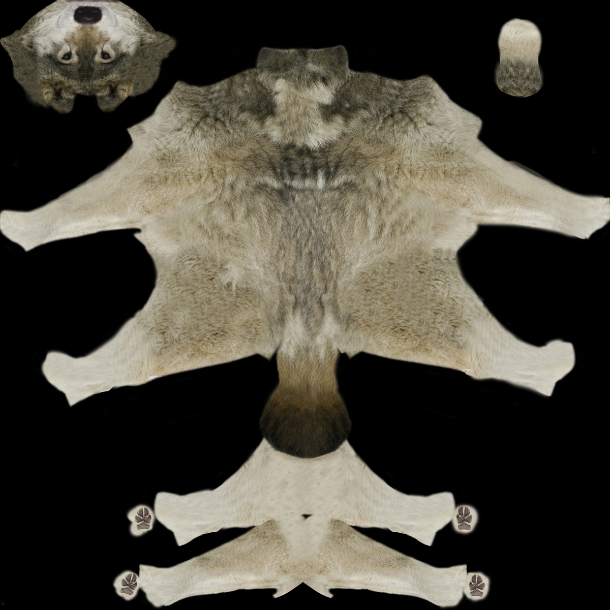 3ds wolf rigged animation