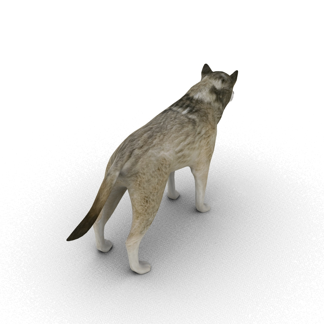 3ds wolf rigged animation