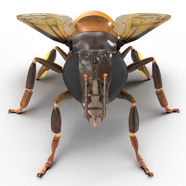 honey bee rigged 3d model