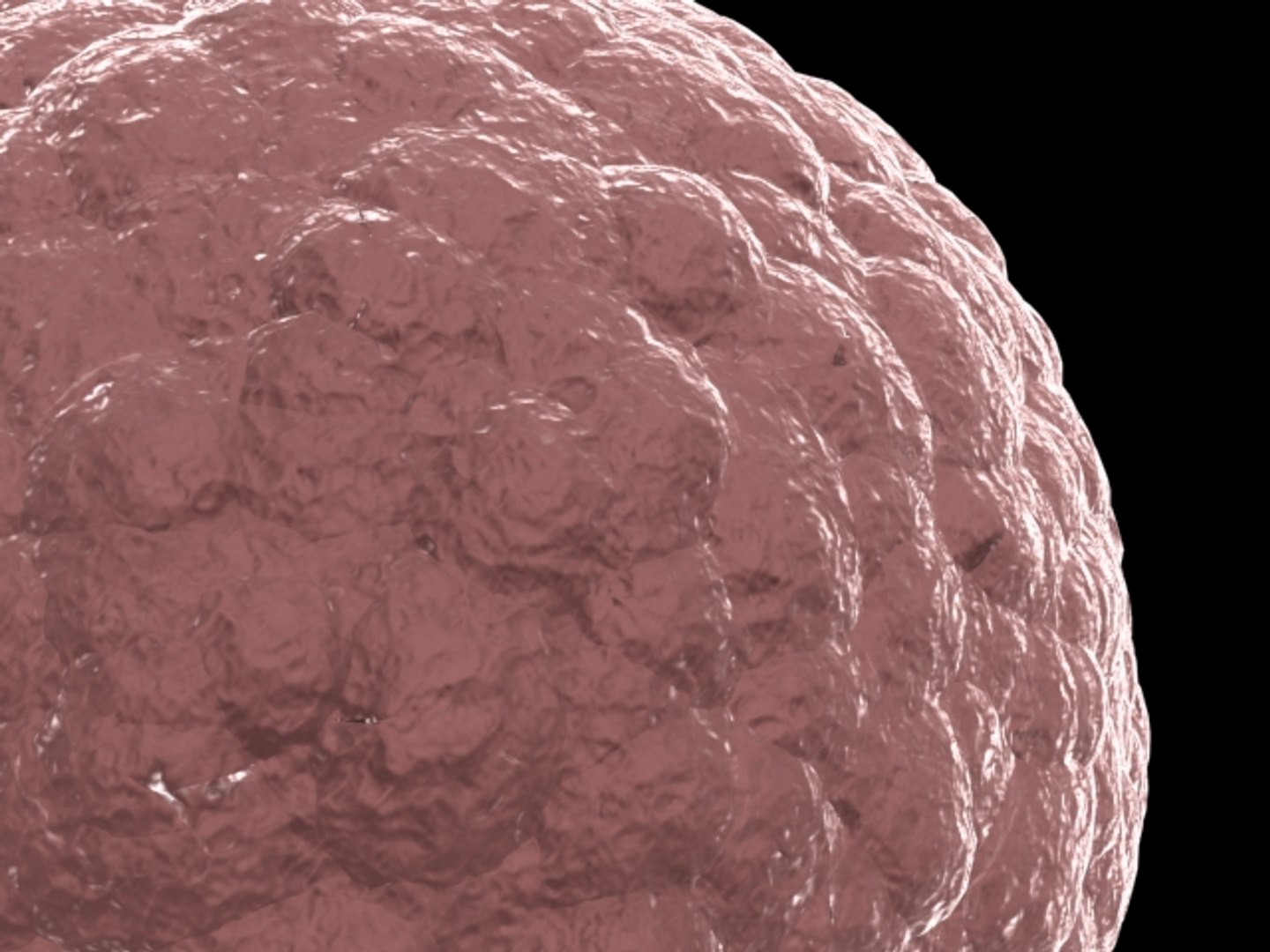 Platlet Cell 2 3d Model