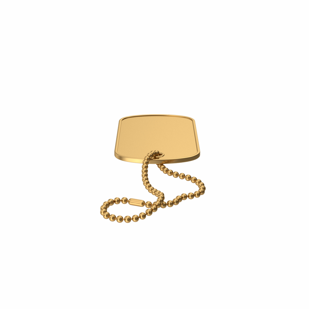 Gold Dog Tag 3D Model - TurboSquid 2229250