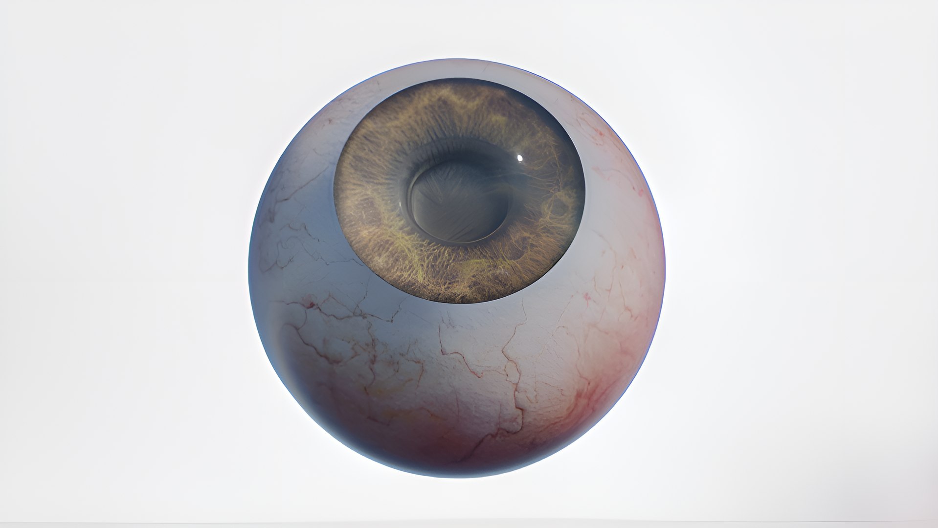3D Eye Model - TurboSquid 2227472