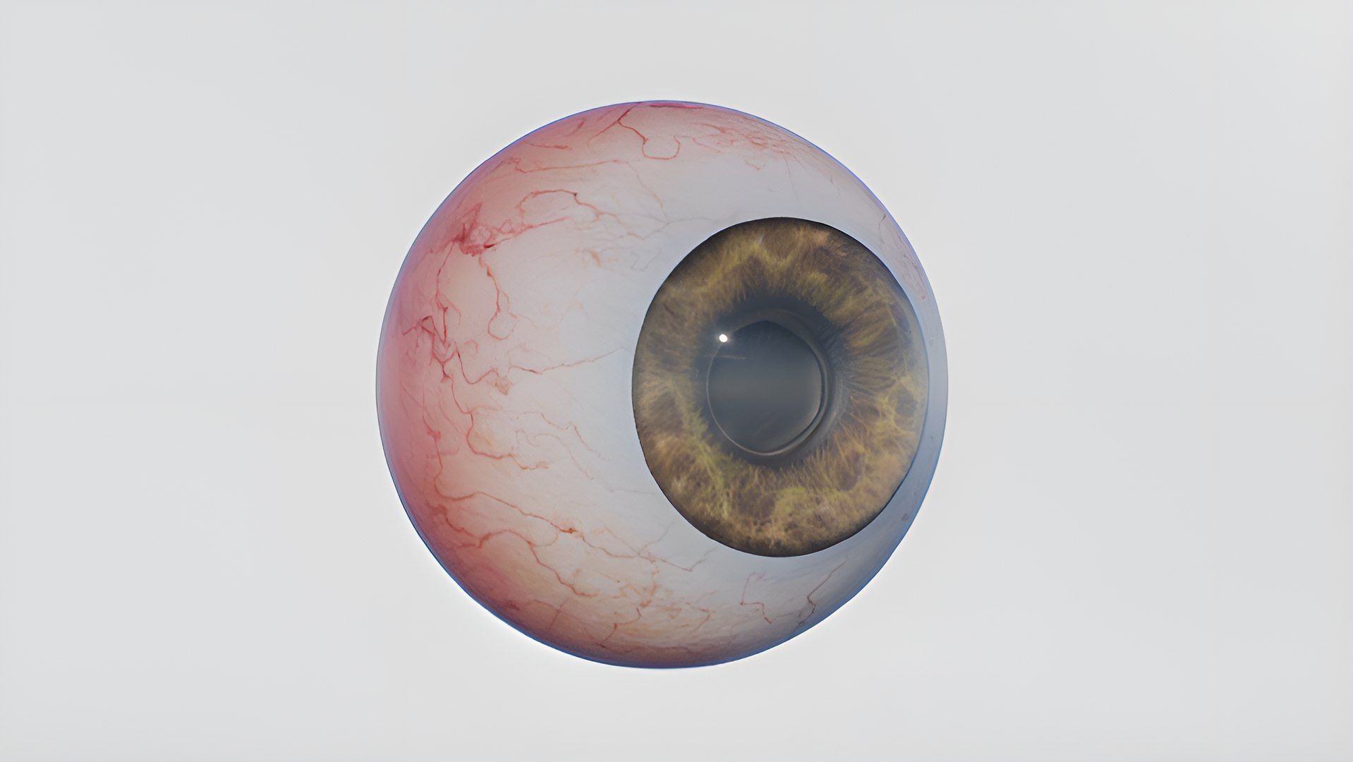 3D Eye Model - TurboSquid 2227472