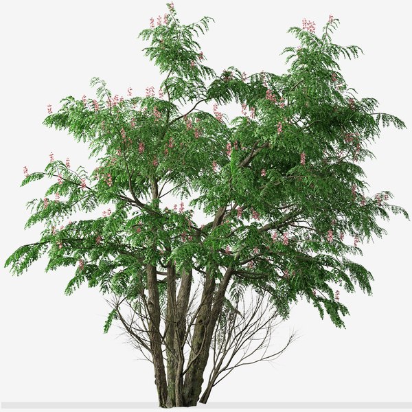 Free 3D Pink-Flower Models | TurboSquid