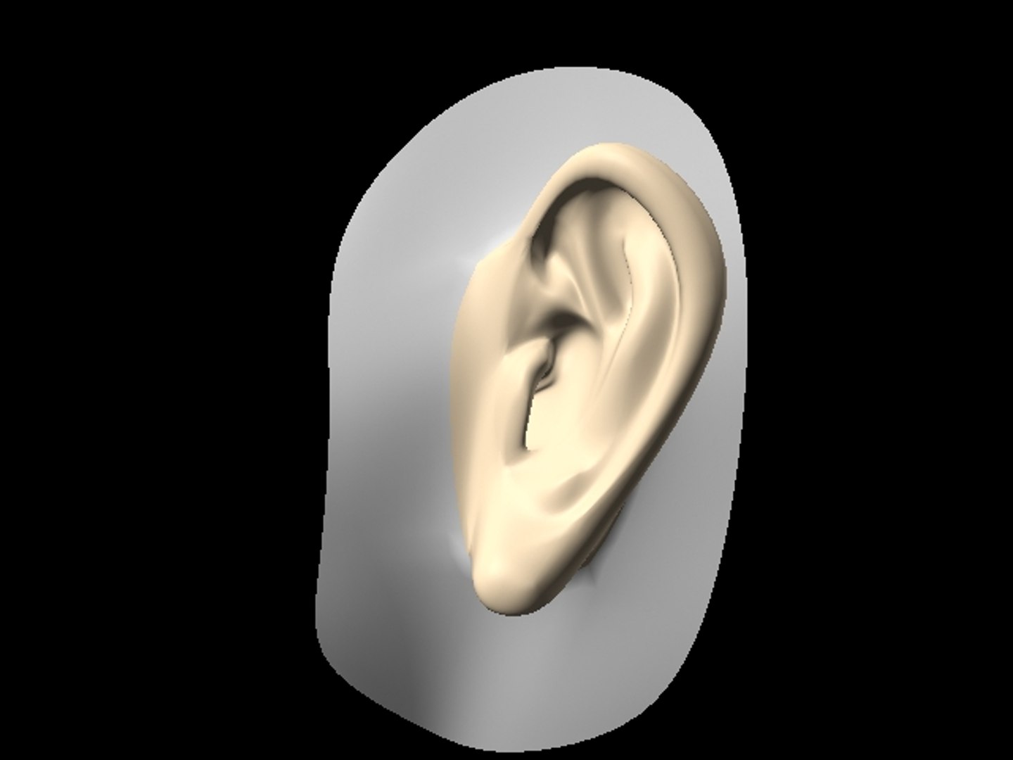 Lightwave Human Ear