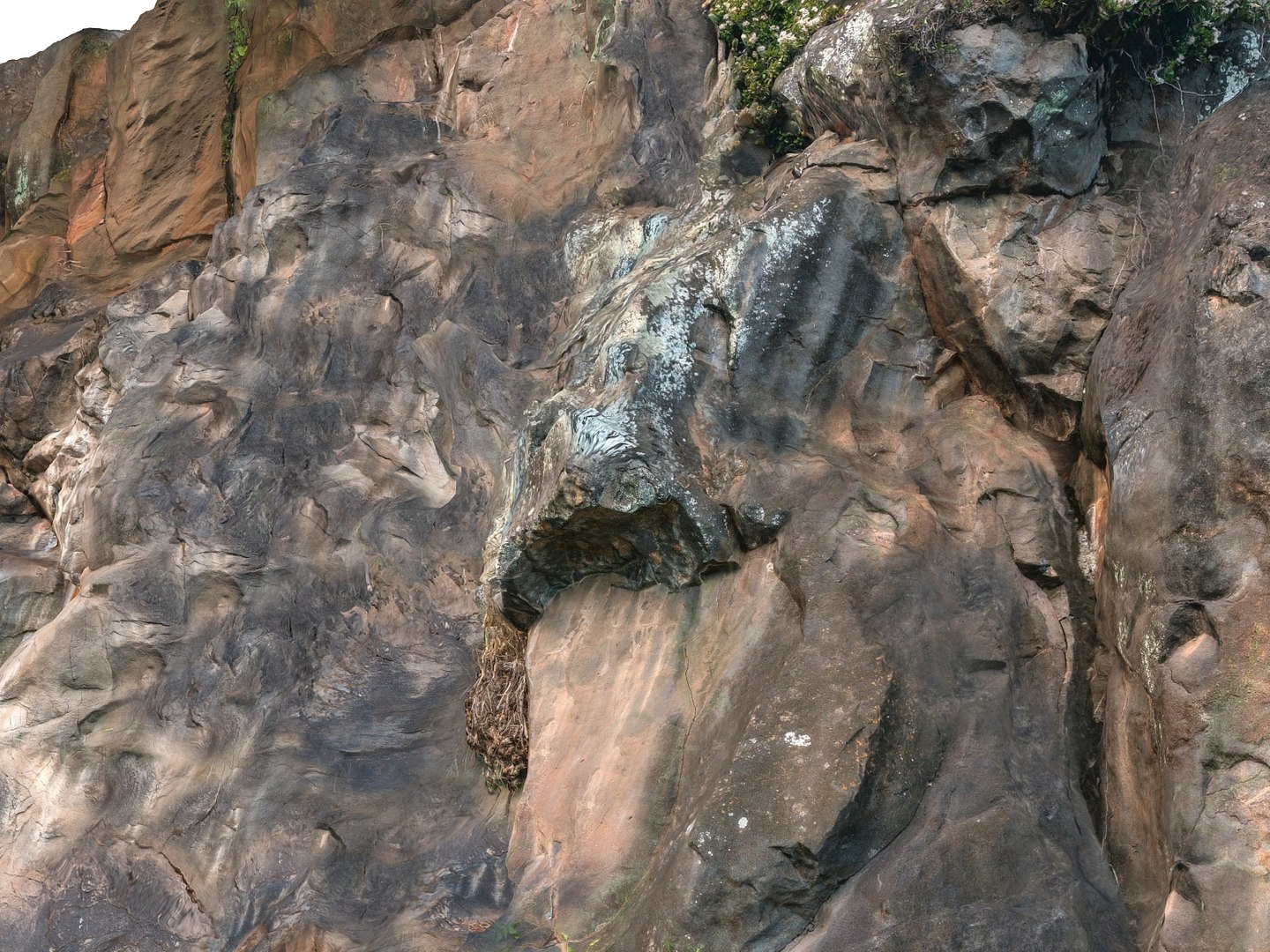 3D Madagascar Cliff Rock 16k Model - TurboSquid 1219995