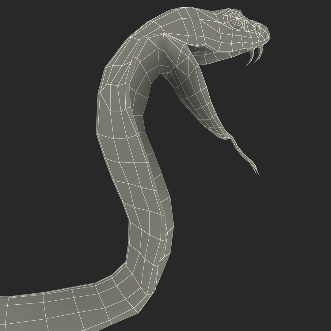 Snake Cobra Pose 3 3d Max