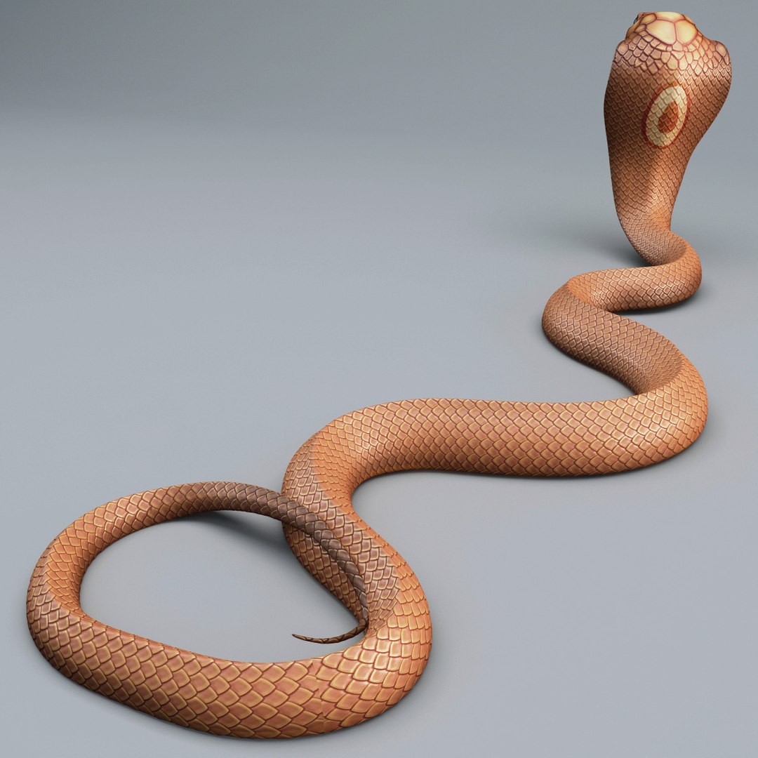 Snake Cobra Pose 3 3d Max