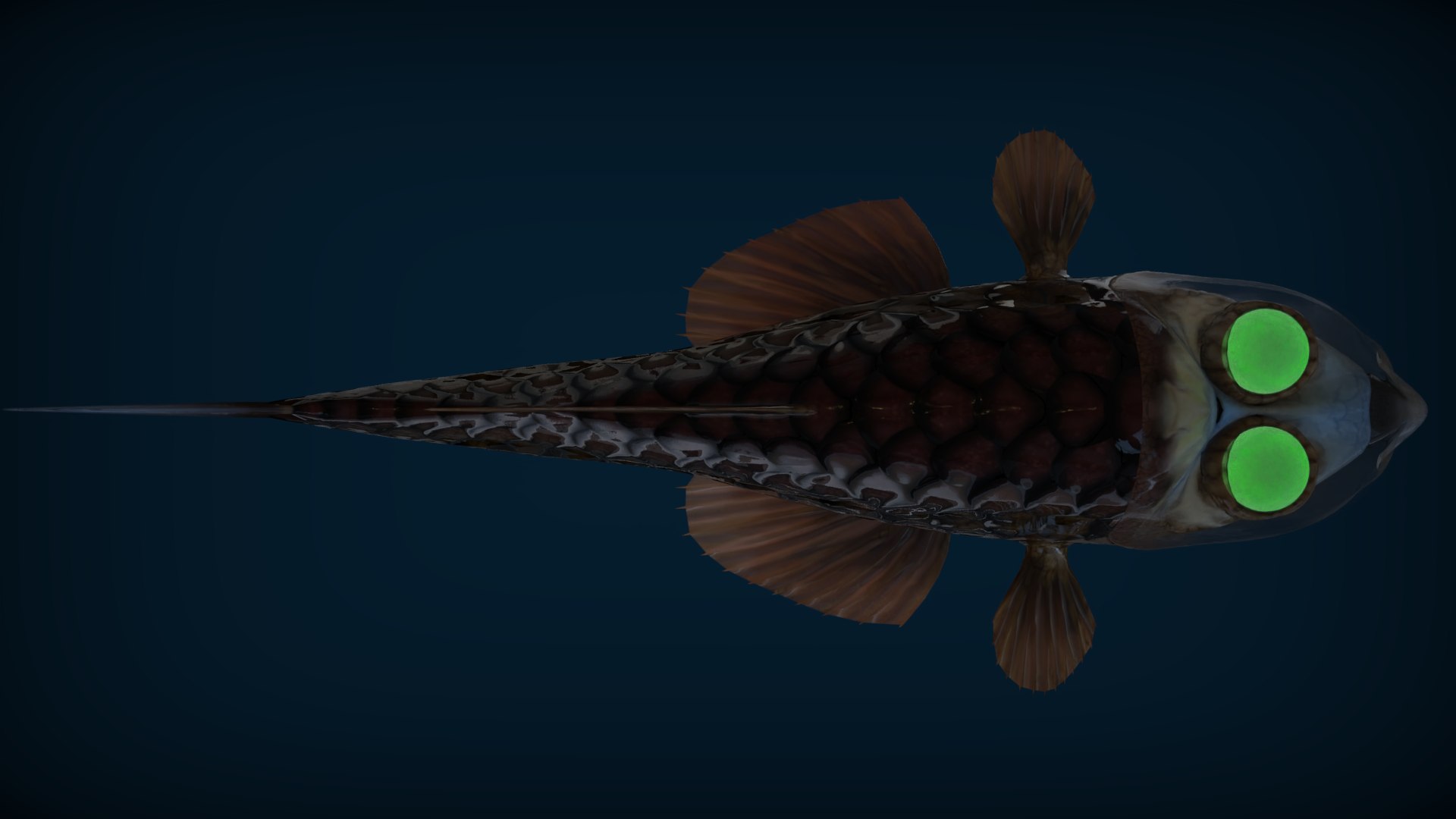 3D Macropinna - TurboSquid 2306376