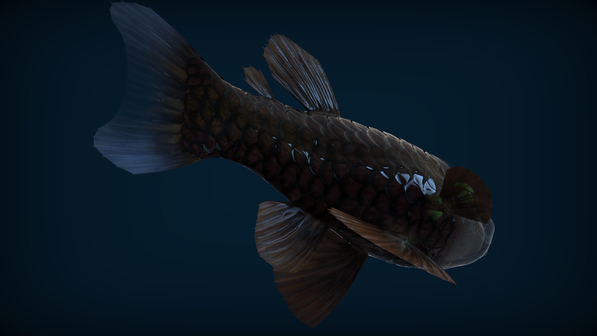 3D Macropinna - TurboSquid 2306376