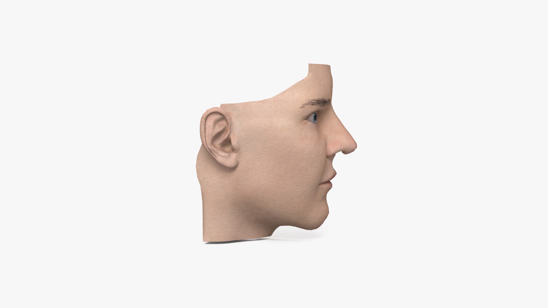 3D Human Nose - TurboSquid 2098425