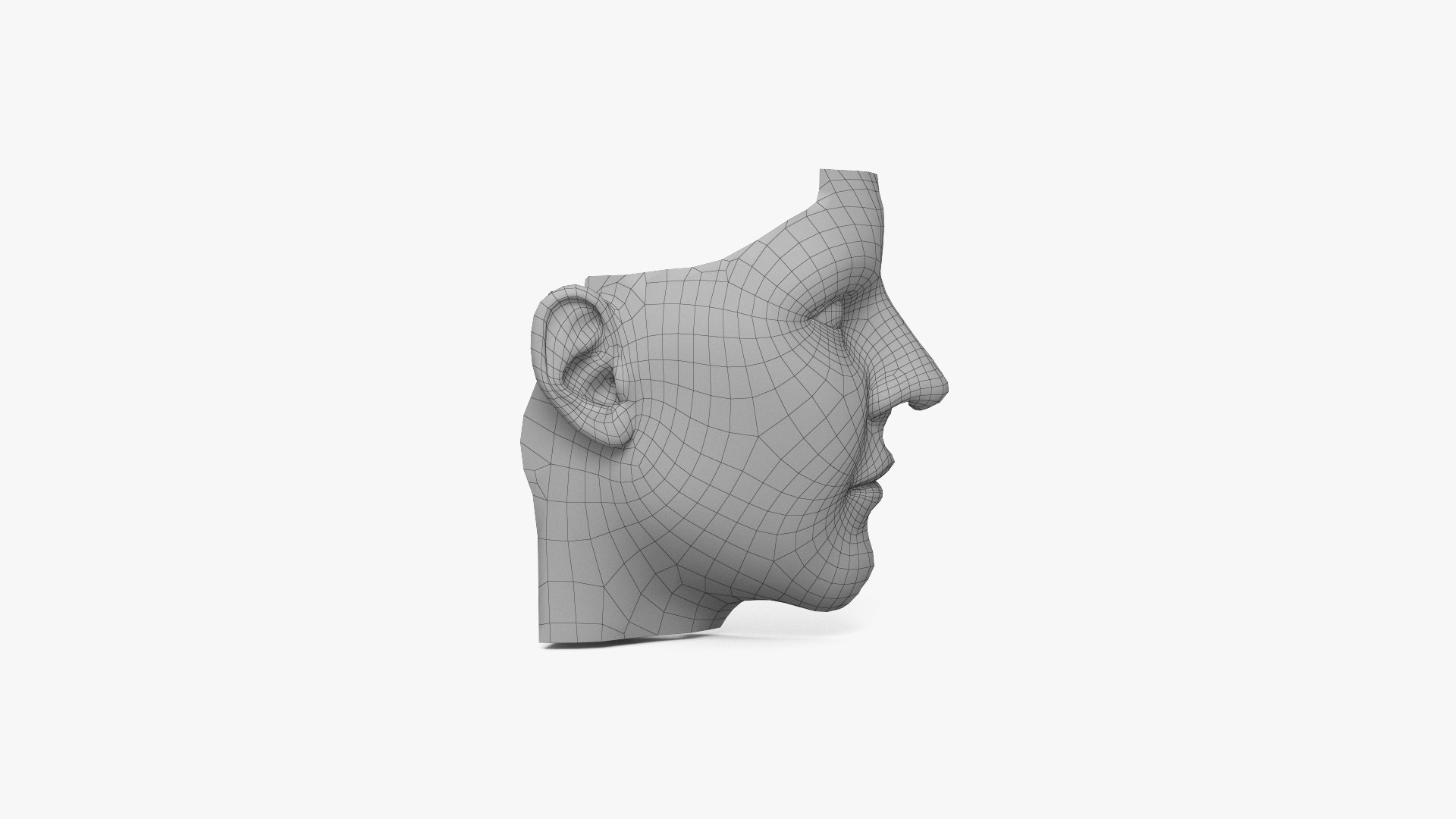 3D Human Nose - TurboSquid 2098425