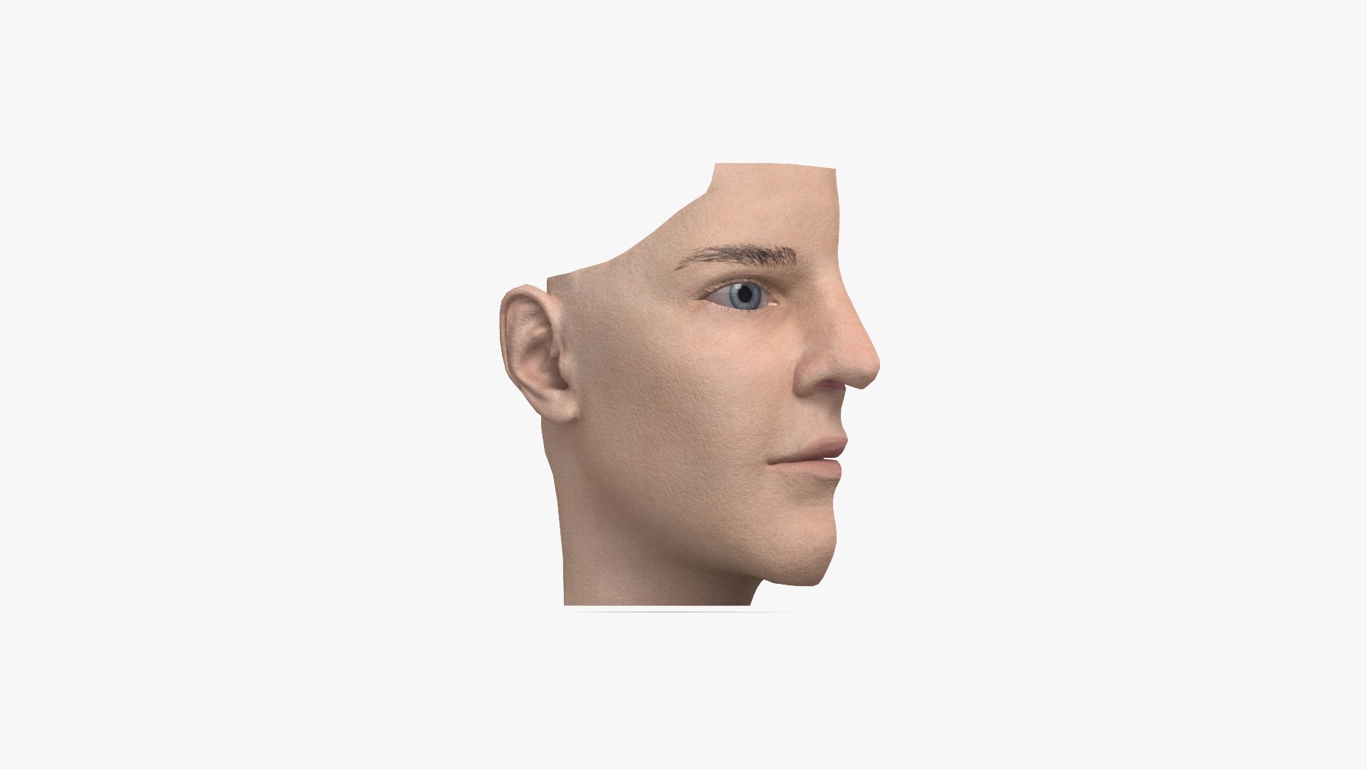3D Human Nose - TurboSquid 2098425