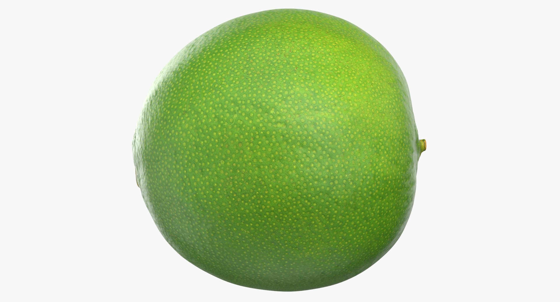 3D Model Prop 26 Lime Whole - TurboSquid 2146917