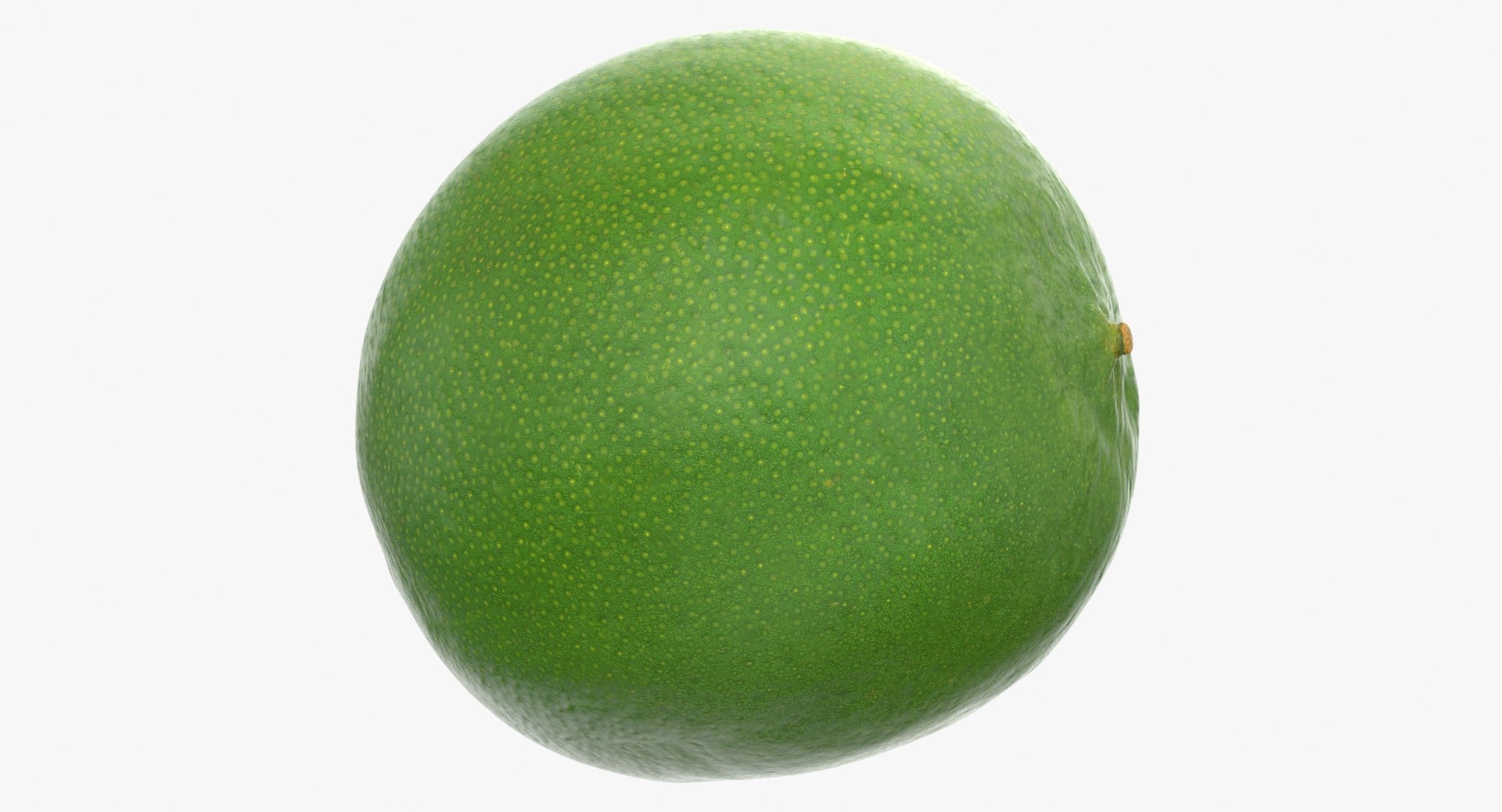 3D Model Prop 26 Lime Whole - TurboSquid 2146917