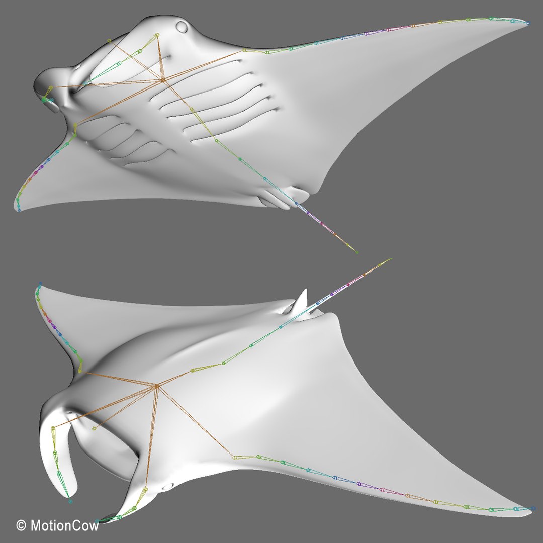 Lightwave Manta Clean