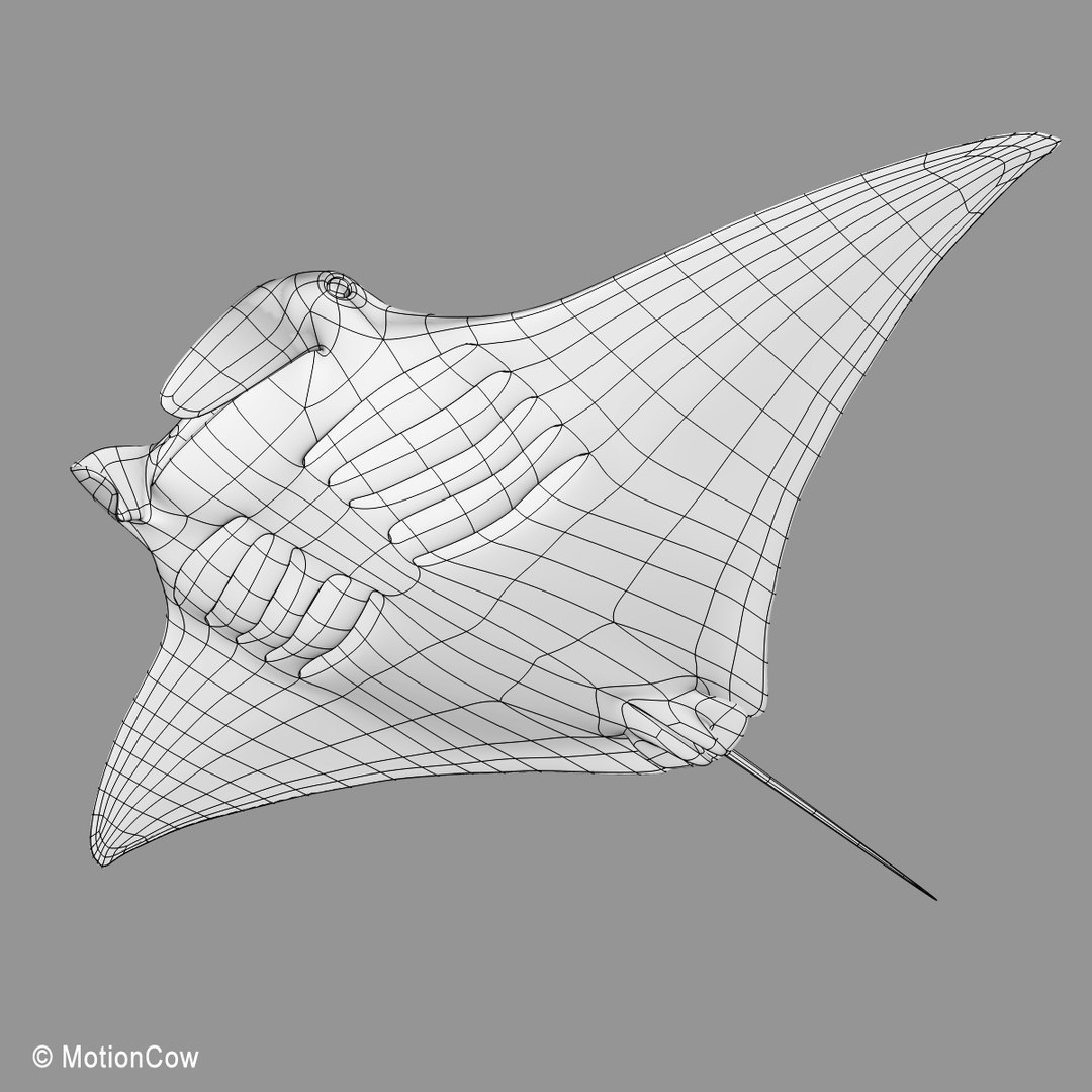 Lightwave Manta Clean