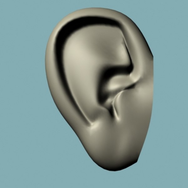 modelo 3d ear-dxf - TurboSquid 170628