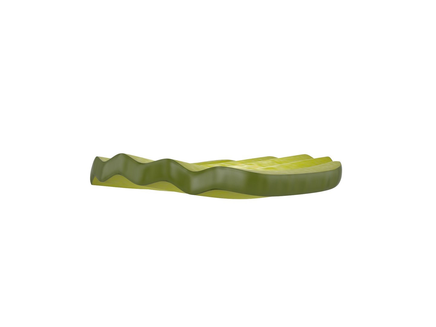 3D Pickle Slice - TurboSquid 1797832