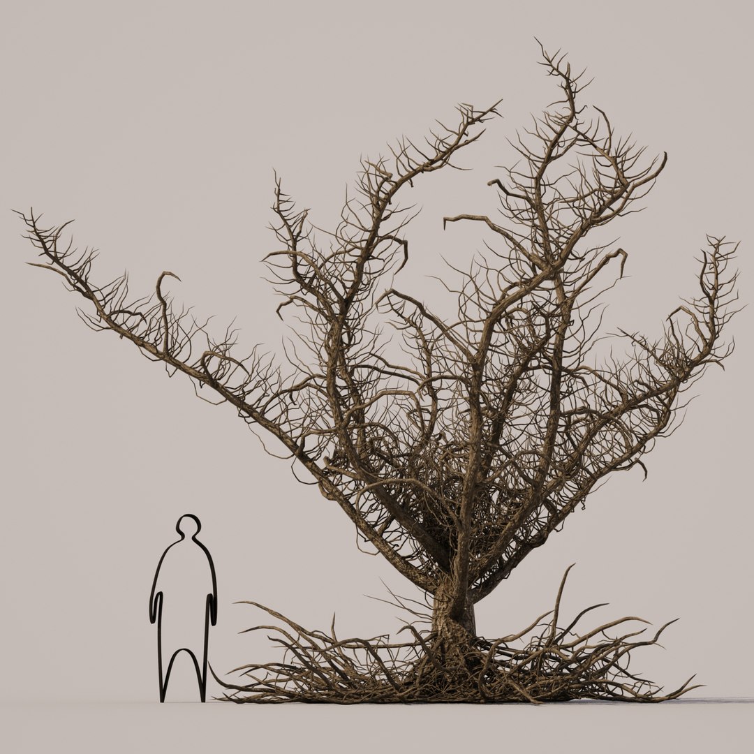 2 tree branch 3D model - TurboSquid 1540388