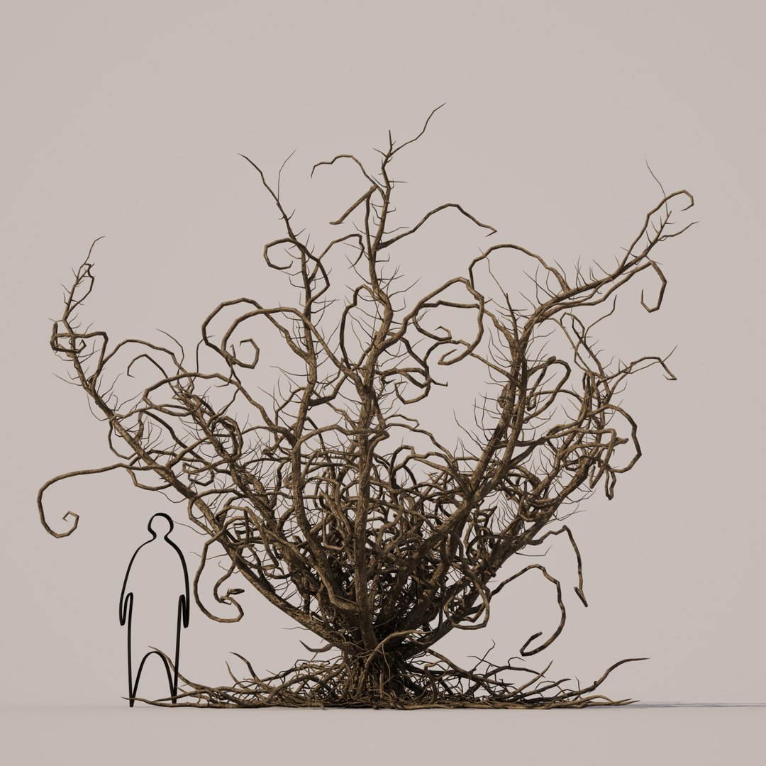 2 Tree Branch 3D Model - TurboSquid 1540388