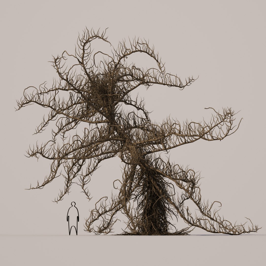 2 tree branch 3D model - TurboSquid 1540388