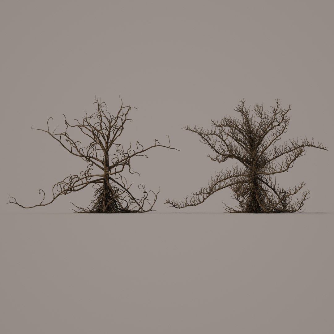 2 tree branch 3D model - TurboSquid 1540388