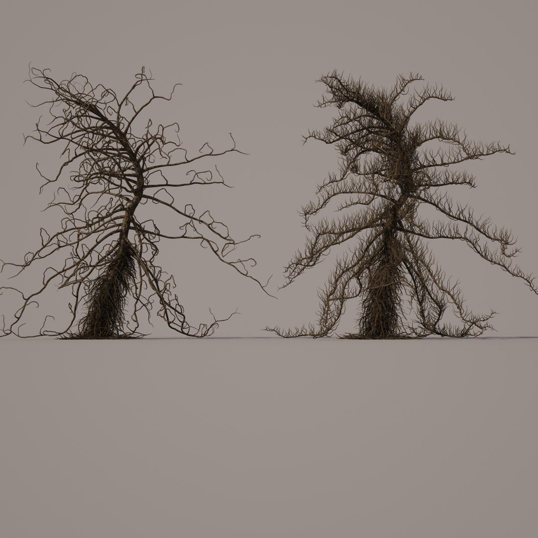 2 tree branch 3D model - TurboSquid 1540388