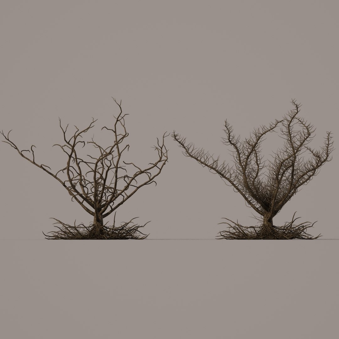 2 tree branch 3D model - TurboSquid 1540388