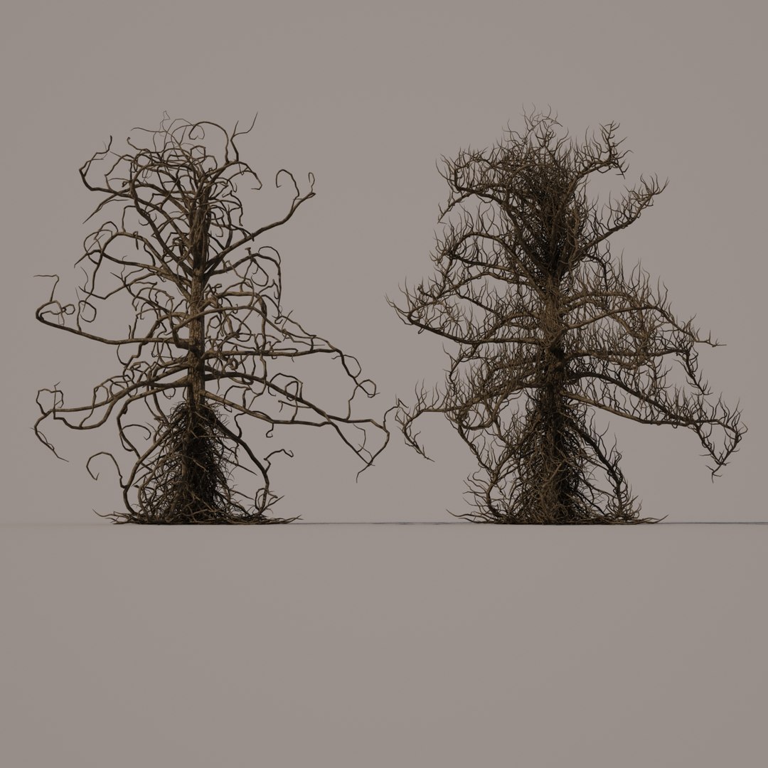 2 tree branch 3D model - TurboSquid 1540388