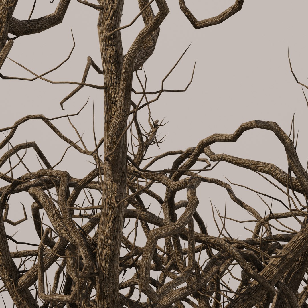 2 tree branch 3D model - TurboSquid 1540388