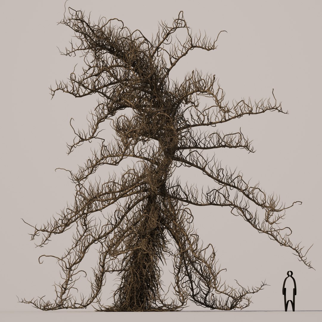 2 tree branch 3D model - TurboSquid 1540388