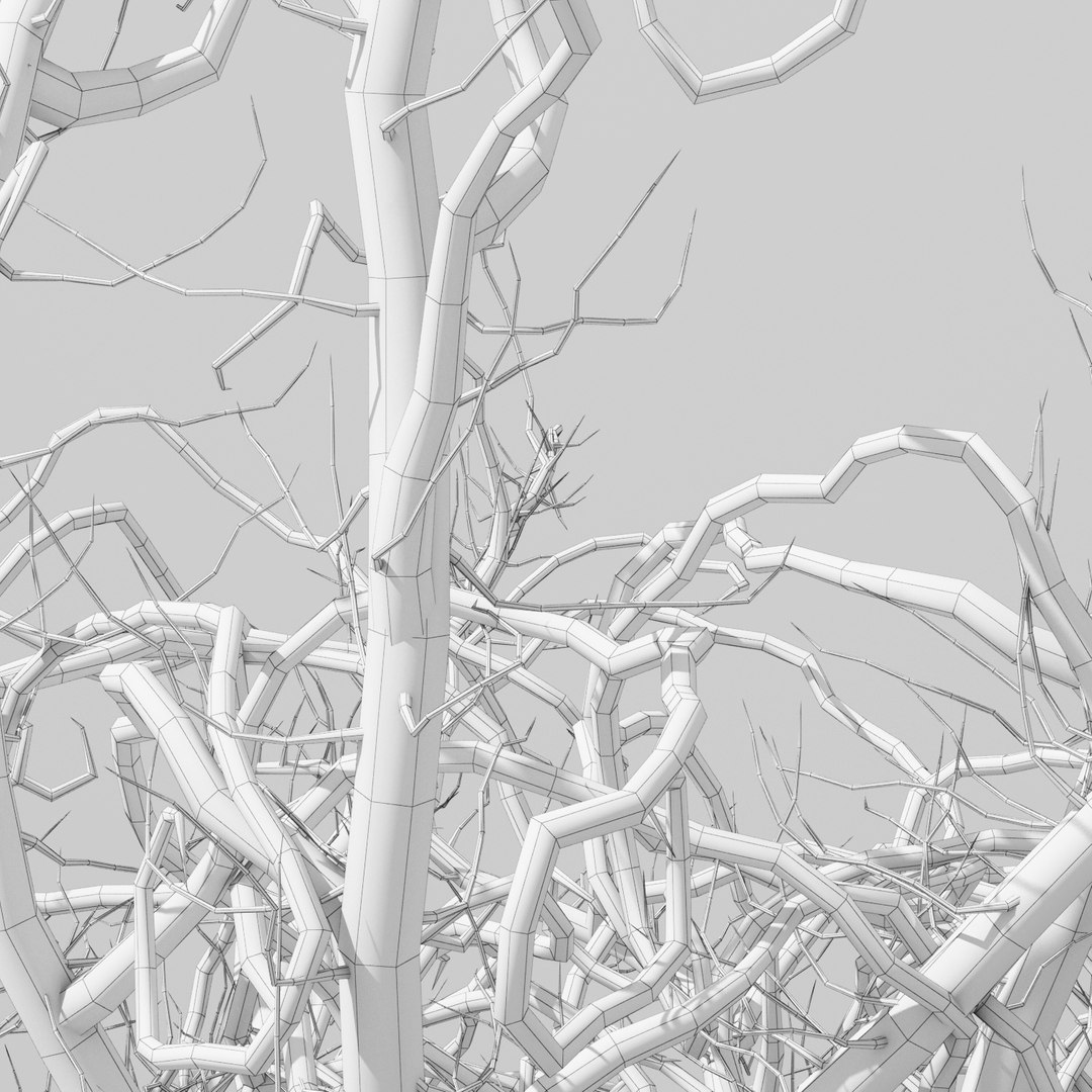 2 tree branch 3D model - TurboSquid 1540388