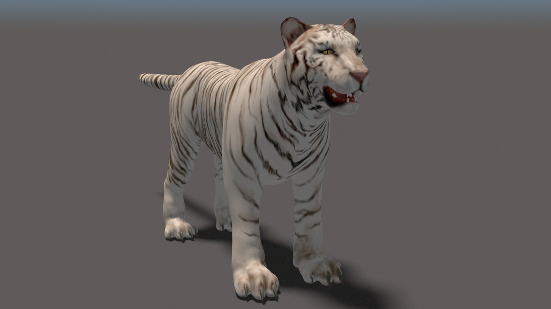 White Tiger 3d Model