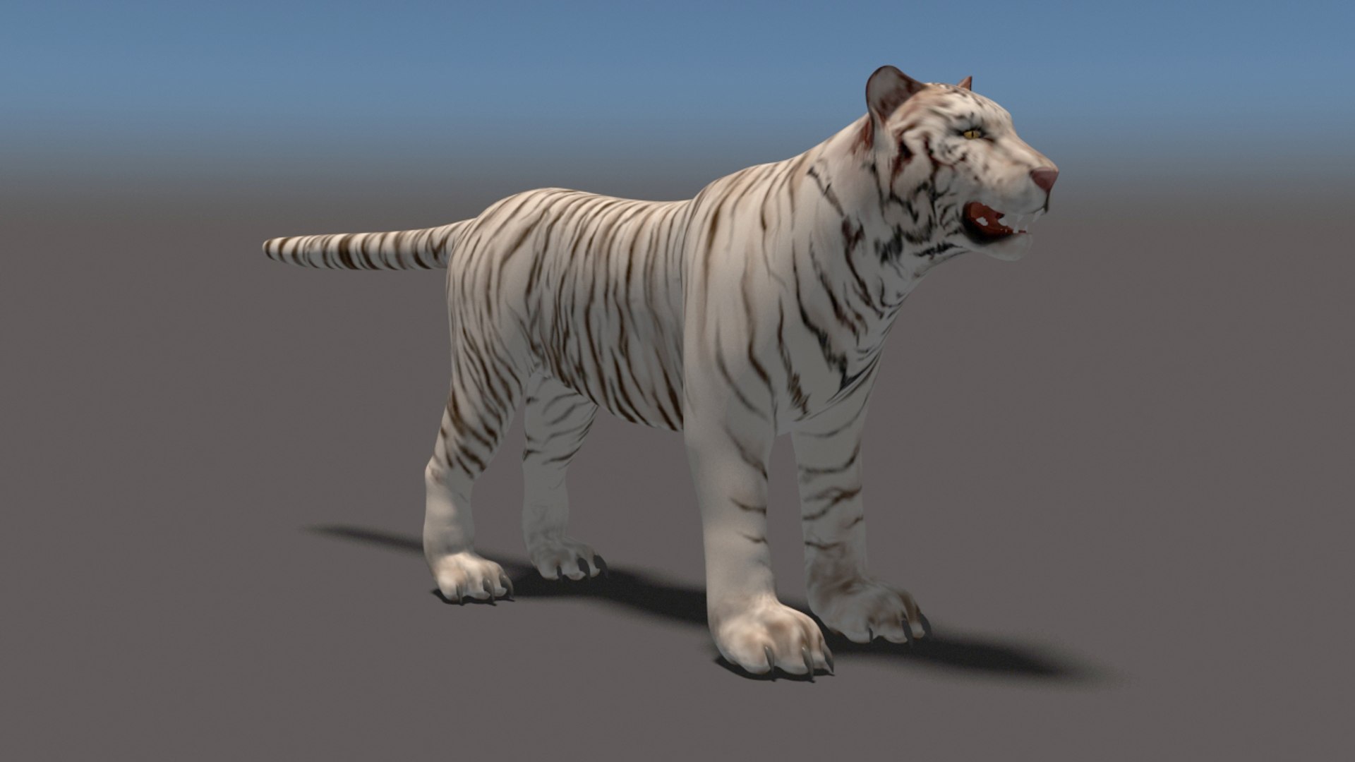 White Tiger 3d Model
