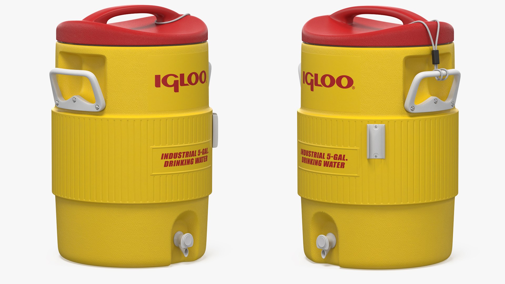Igloo 5 Gallon Heat Stress Solution Industrial Water Cooler 3D ...