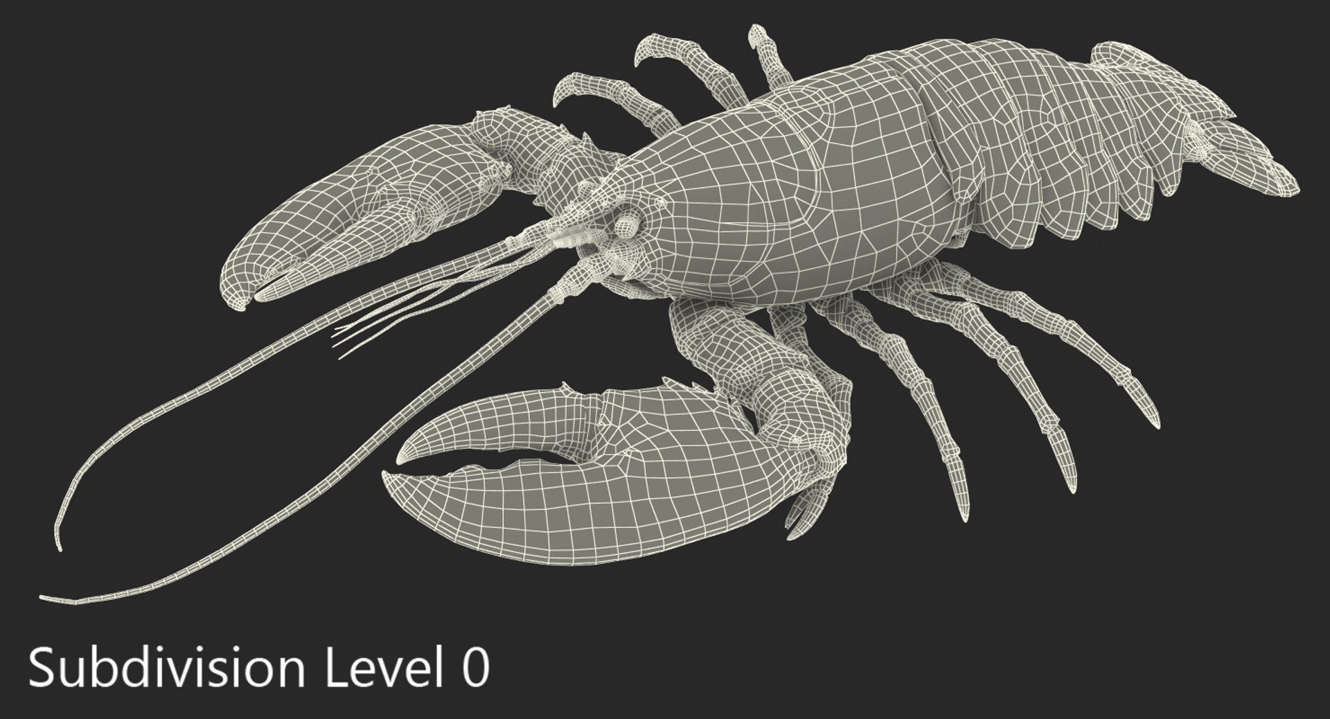 3d lobster rigged model