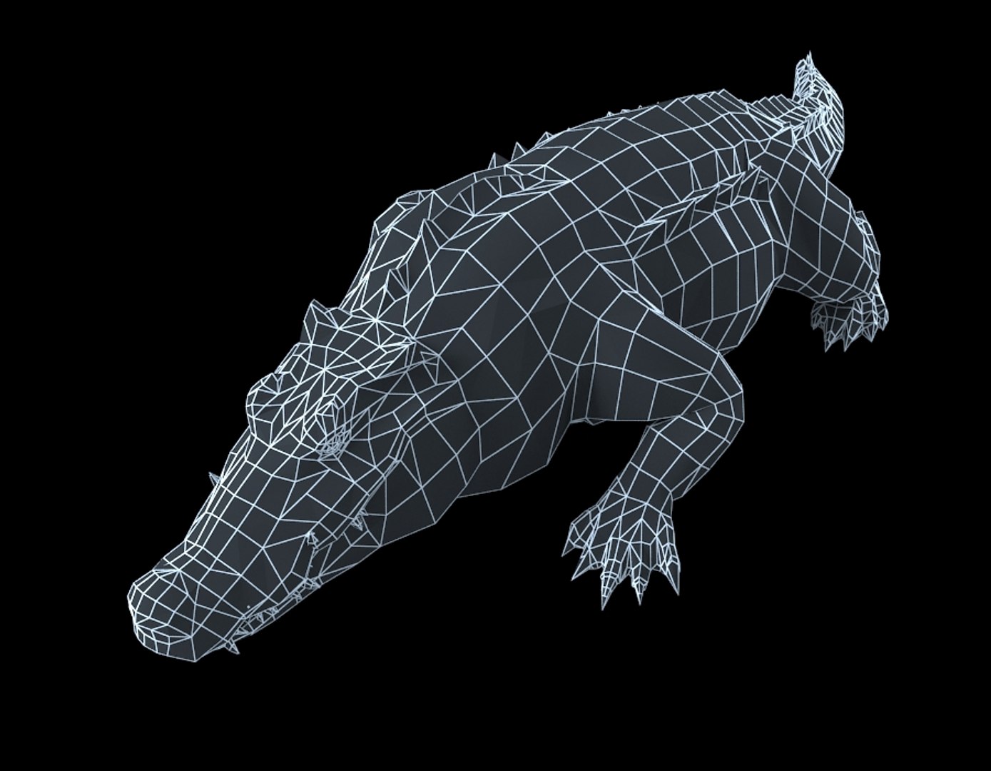 Alligator Gator Rigged 3D - TurboSquid 1573959