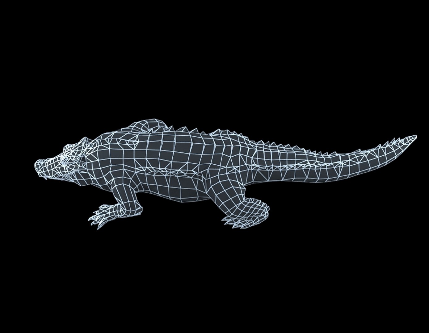 Alligator Gator Rigged 3D - TurboSquid 1573959