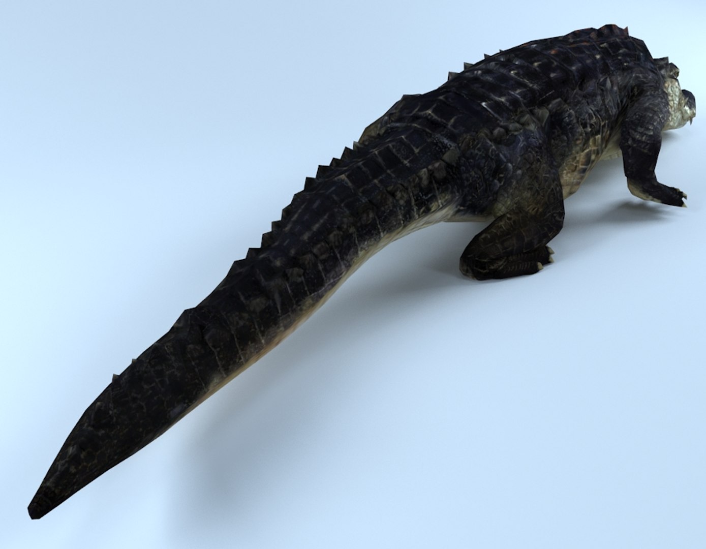 Alligator Gator Rigged 3D - TurboSquid 1573959
