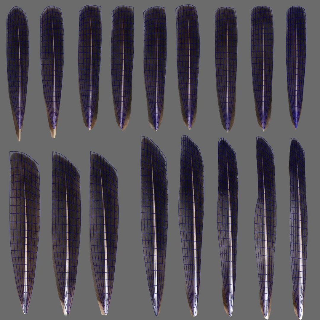 3D Goose Animation VFX Grace model - TurboSquid 2168841