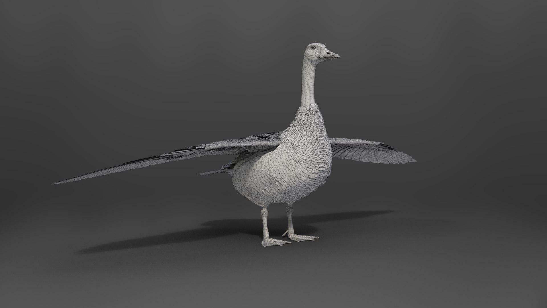 3D Goose Animation VFX Grace model - TurboSquid 2168841