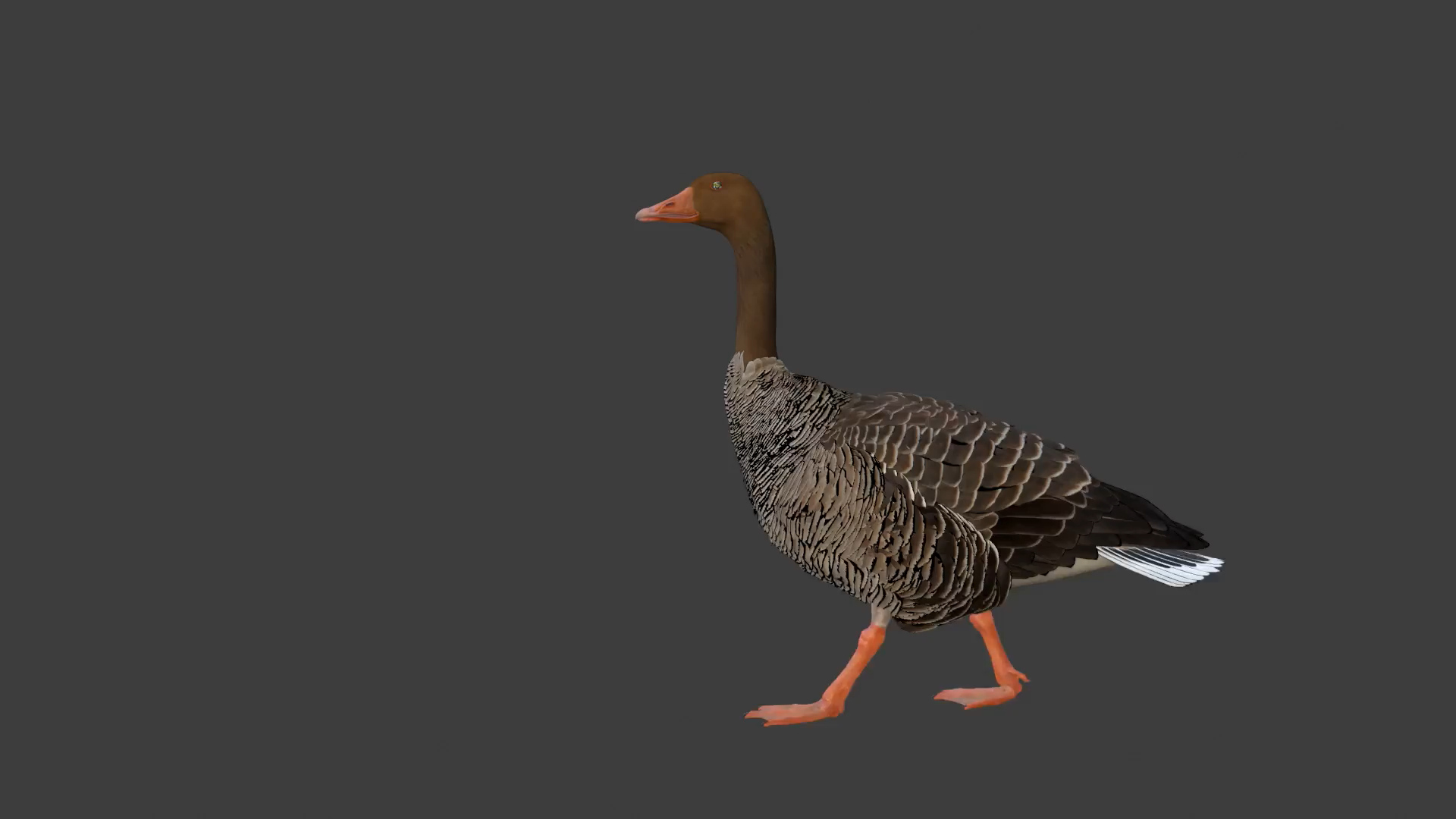 3D Goose Animation VFX Grace model - TurboSquid 2168841