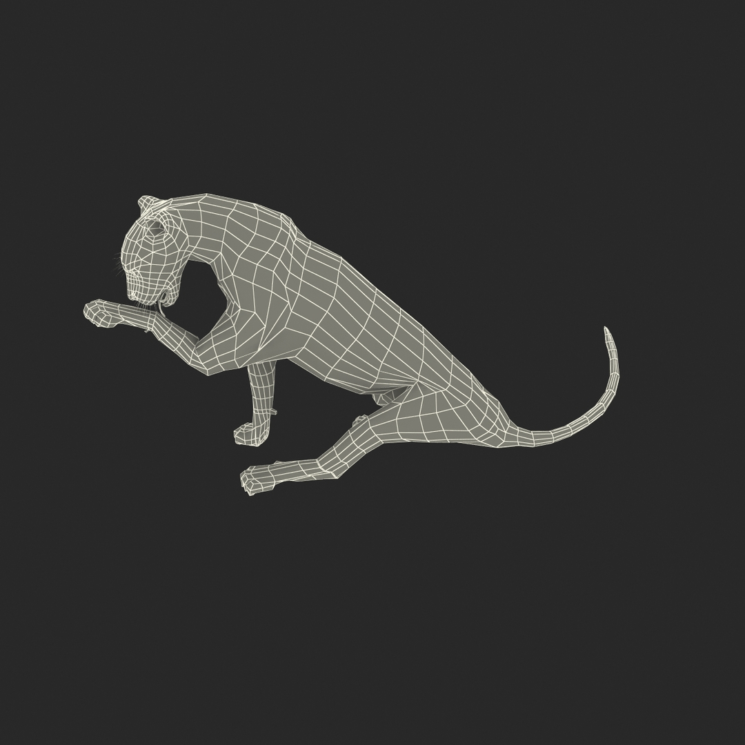 Cheetah 2 Pose 5 Max