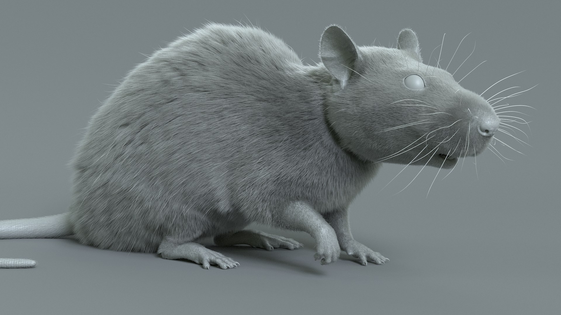 3D Rat Rigged - TurboSquid 2212274