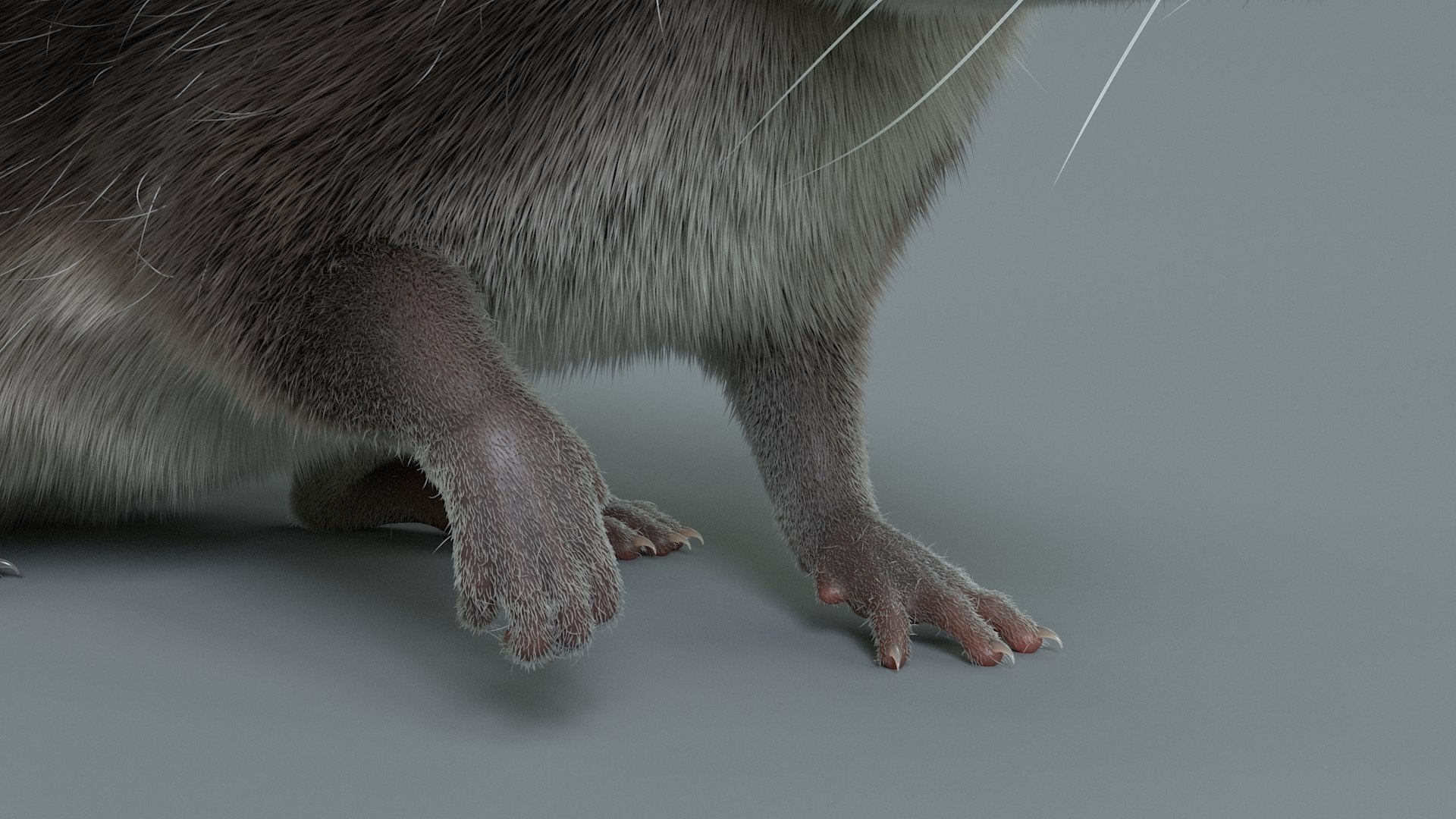 3D Rat Rigged - TurboSquid 2212274