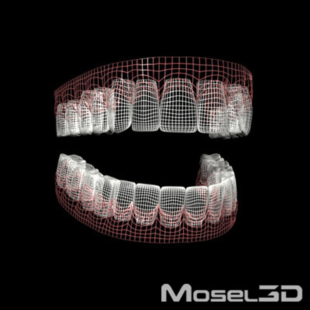 3d Model Teeth